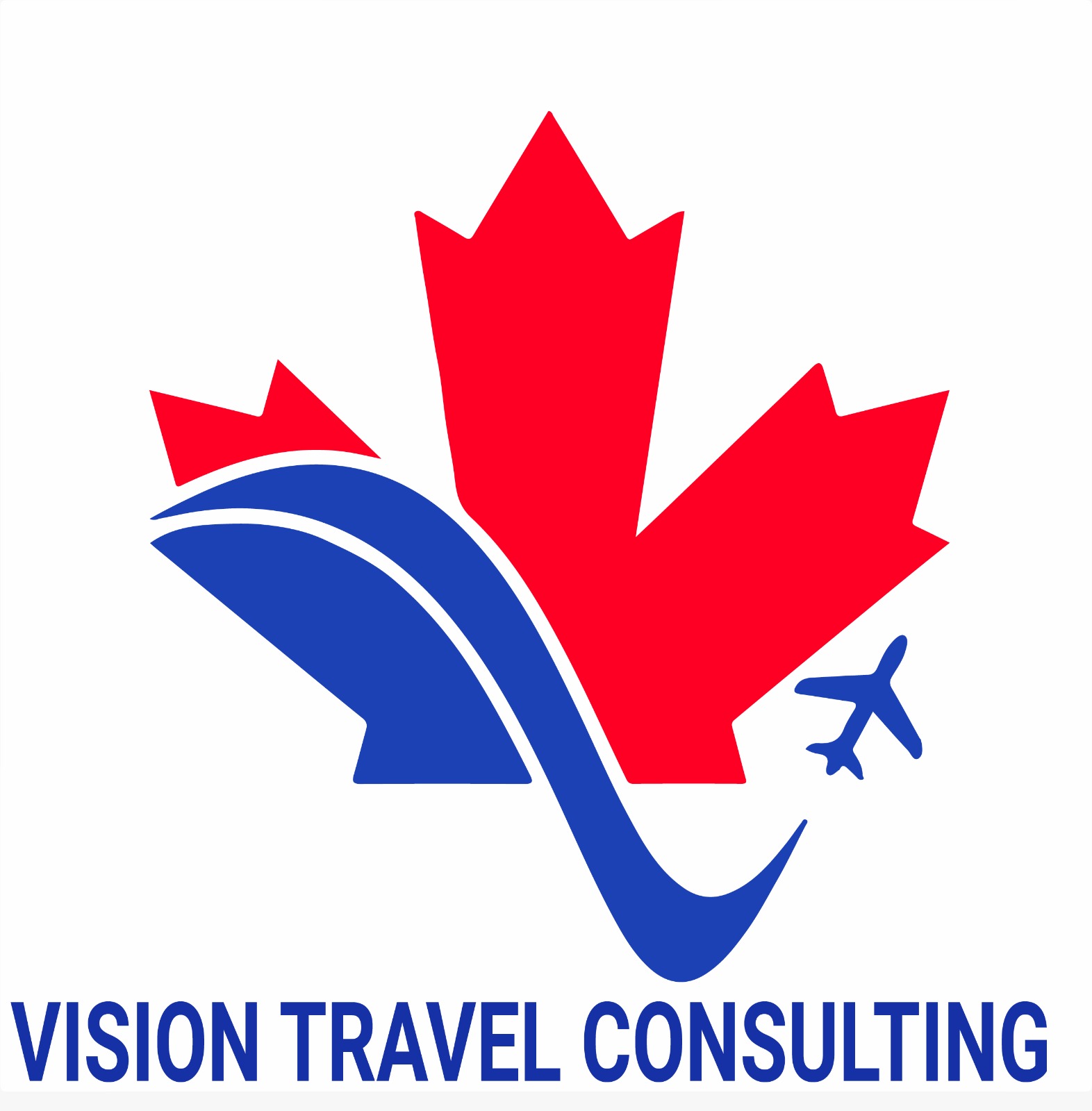 Vision Travel Consulting